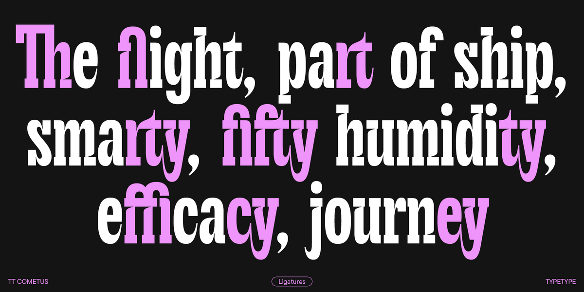 TT Cometus Font - Download Free Trial & Buy | TypeType®