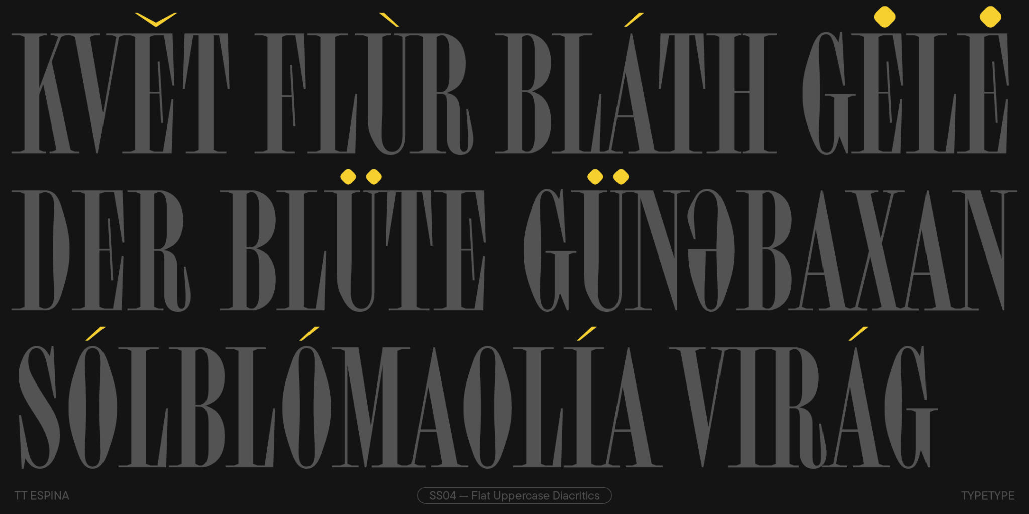 TT Espina Font - Download Free Trial & Buy | TypeType®
