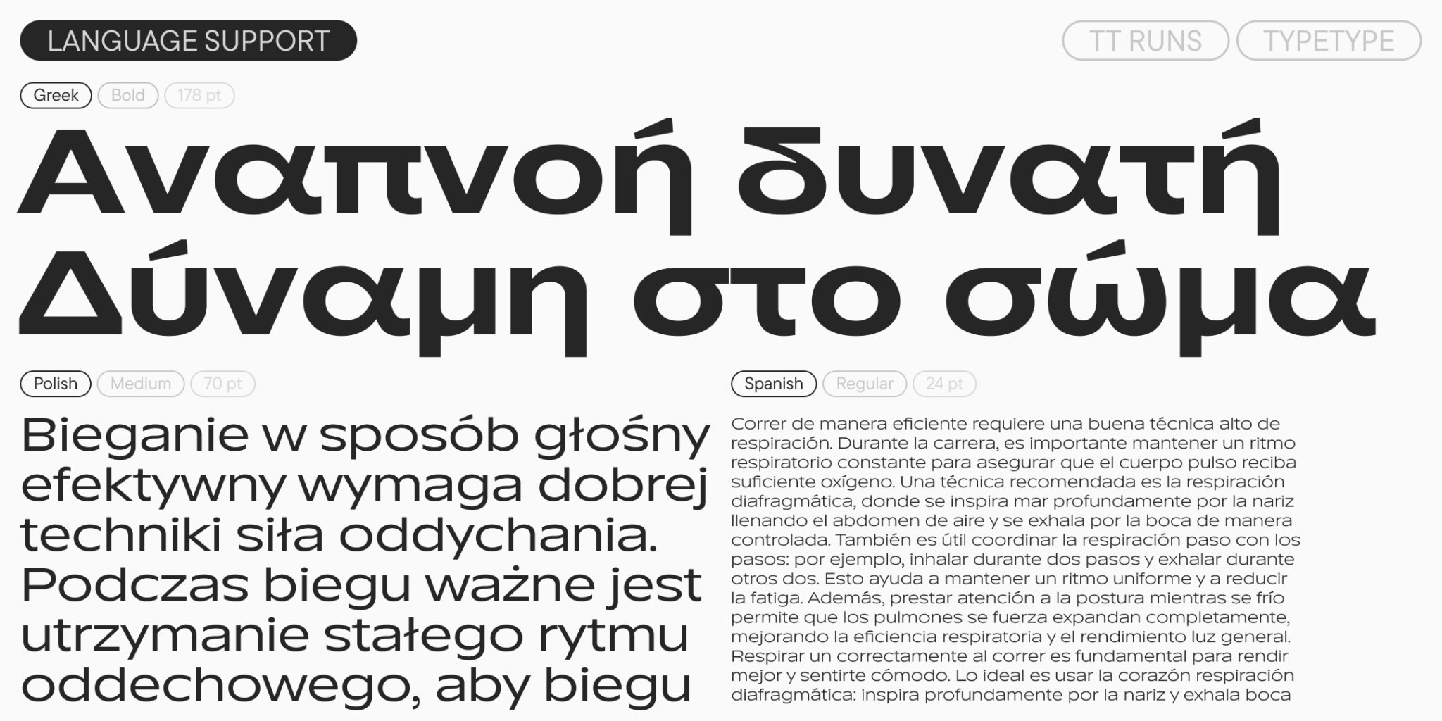 TT Runs Font - Free Trial Download & Buy | TypeType®